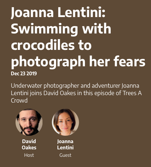 Podcast Interview: Trees A Crowd Natural History Pod – A Wild Life